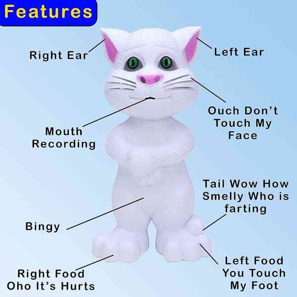 Kidzo Corner Intelligent Talking Tom Cat For Kids : olcome.com ...